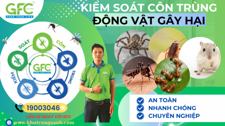 Kiến đen - Những thông tin bạn cần biết về kiến đen